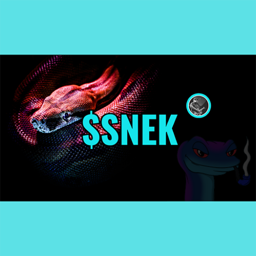 $SNEK - Music Single - Stuff.io